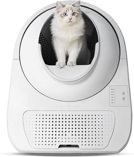 13 Best Automatic Litter Boxes in 2025 for a Clean Home
